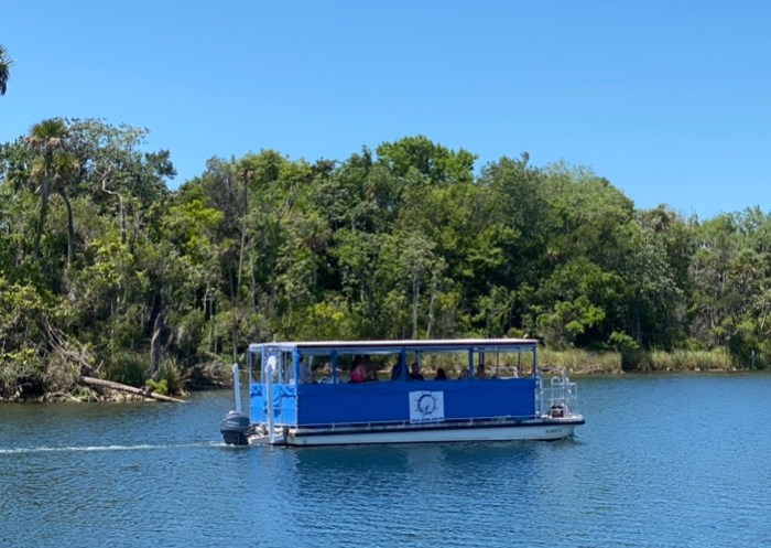 See Crystal River | Boat Tours in Crystal River, FL